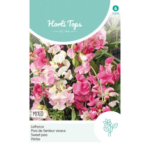 Nagyvirágú Lednek (Lathyrus latifolius) Mix virágmag rendelés ...